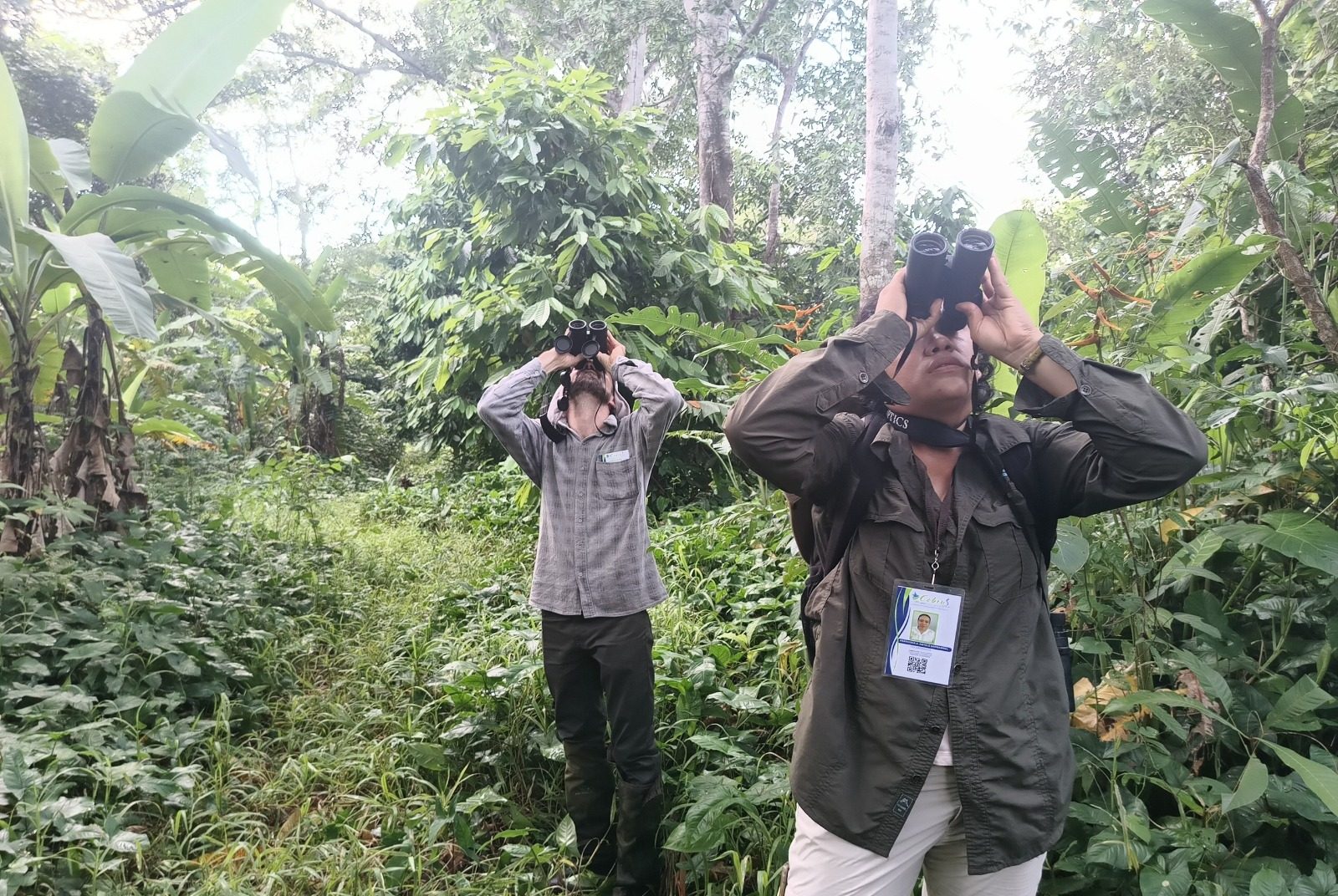 AJEMEX y COBIUS AC frente a la protección del mono aullador